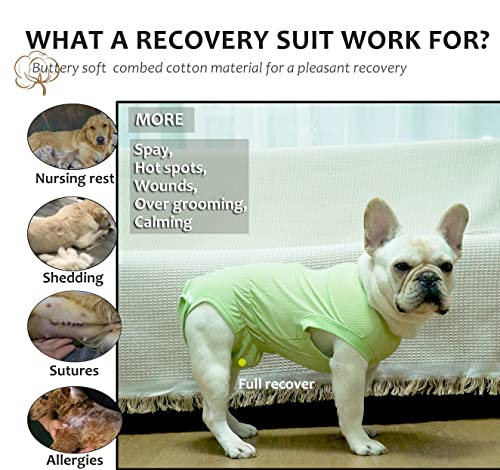 Sychien Dog Recovery Suit Large for Female Spay,Male Post Surgery Recovery Combed Cotton Bodysuit,Green XXL