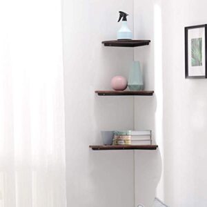 PIBM Stylish Simplicity Shelf Wall Mounted Floating Rack Shelves Solid Wood Wall Corner Sector Triangle Storage Wear Resistant Bedside Bearing Strong,6 Sizes, Brown , Radius 25 cm