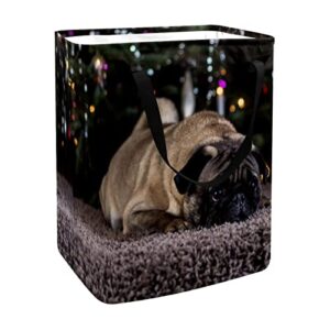 pug dog print collapsible laundry hamper, 60l waterproof laundry baskets washing bin clothes toys storage for dorm bathroom bedroom