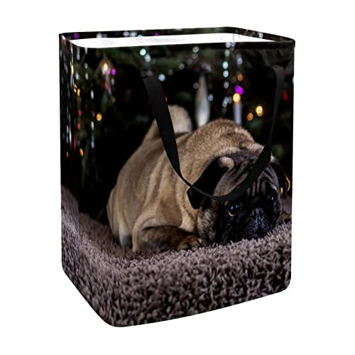 Pug Dog Print Collapsible Laundry Hamper, 60L Waterproof Laundry Baskets Washing Bin Clothes Toys Storage for Dorm Bathroom Bedroom