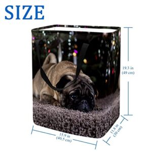 Pug Dog Print Collapsible Laundry Hamper, 60L Waterproof Laundry Baskets Washing Bin Clothes Toys Storage for Dorm Bathroom Bedroom