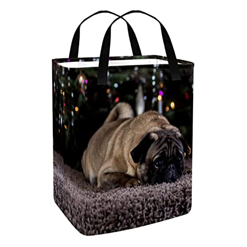 Pug Dog Print Collapsible Laundry Hamper, 60L Waterproof Laundry Baskets Washing Bin Clothes Toys Storage for Dorm Bathroom Bedroom