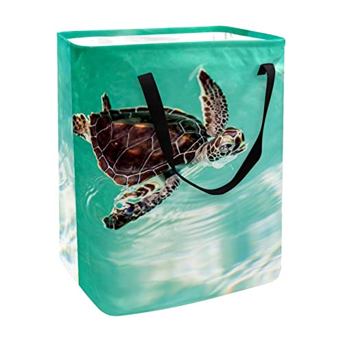 Turtle on Water Print Collapsible Laundry Hamper, 60L Waterproof Laundry Baskets Washing Bin Clothes Toys Storage for Dorm Bathroom Bedroom