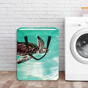 Turtle on Water Print Collapsible Laundry Hamper, 60L Waterproof Laundry Baskets Washing Bin Clothes Toys Storage for Dorm Bathroom Bedroom