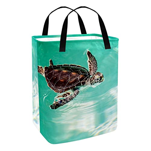 Turtle on Water Print Collapsible Laundry Hamper, 60L Waterproof Laundry Baskets Washing Bin Clothes Toys Storage for Dorm Bathroom Bedroom