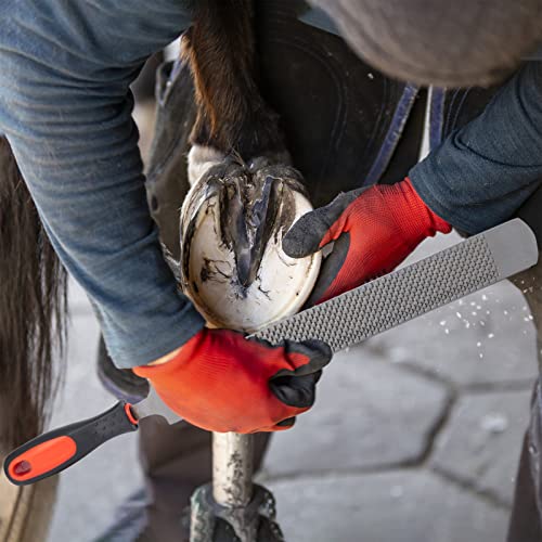 HEJKFVCL Farrier Tools12 Pcs Horse Farrier Tools Labor Saving Hoof Trimming Care Tools for Horses Cattle Sheep and Donkeys