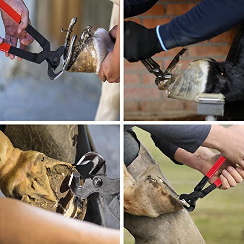 HEJKFVCL Farrier Tools12 Pcs Horse Farrier Tools Labor Saving Hoof Trimming Care Tools for Horses Cattle Sheep and Donkeys