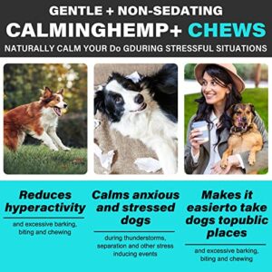 CAPTBDZW Calming Chews for Dogs, Dog Calming Chews - Anxiety Relief Treats, Pet Naturals Calming Chews, Helps with Dog Anxiety, Separation, Barking, Stress Relief, with Valerian Root and Hemp Oil.