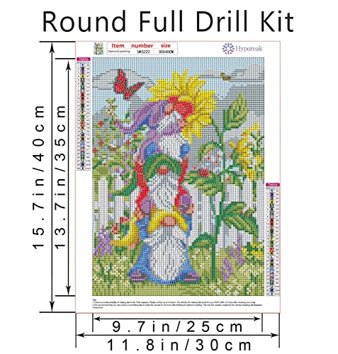 Hyporeak Diamond Painting Kits for Adults,Diamond Art Kit,5D Diamond Painting Kit Full Drill Round for Gift,Wall Decor,Relaxing(12x16)