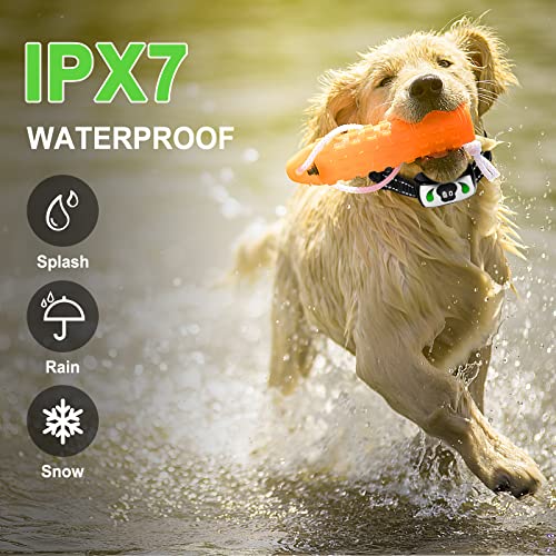 [2023 Upgrade] Bark Collar with Additional Mini Remote - Dog Bark Collar with 4 Training Modes - IPX7 Waterproof Dog Shock Collar for Indoor, Garden & Courtyard, Safe Bark Collar for Most Breed Sizes