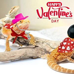 Vehomy 4Pcs Valentine's Day Bearded Dragon Outfit Bearded Dragon Cowboy Hat & Lizard Bandana Small Pet Love Heart Scarf Cowboy Costume Accessories for Lizard Hamster Leopard Gecko