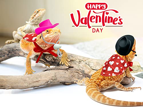 Vehomy 4Pcs Valentine's Day Bearded Dragon Outfit Bearded Dragon Cowboy Hat & Lizard Bandana Small Pet Love Heart Scarf Cowboy Costume Accessories for Lizard Hamster Leopard Gecko