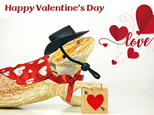 Vehomy 4Pcs Valentine's Day Bearded Dragon Outfit Bearded Dragon Cowboy Hat & Lizard Bandana Small Pet Love Heart Scarf Cowboy Costume Accessories for Lizard Hamster Leopard Gecko