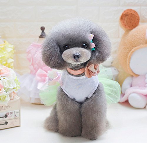 Dress Apparel Medium Clothes Small Dog Boy Girl Puppy Sweater Outfits Cold Weather Doggy Apparel Puppy Skirt for Pet Clothes