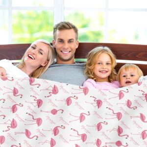 WEALLIN Flamingo Gifts Flamingo Blanket, Flamingo Gifts for Women, Flamingo Gifts for Girls, Soft Blanket for Children's Day Gift, Birthday Gift Pink Gifts for Women Flamingo Decor 60 X 80 Inch