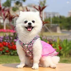 Clothes for Dogs Chihuahua Pet Dresses Spring and Summer Pet Cothes Spring and Summer Cute Pet Supplies Dog Clothes for Medium Dogs