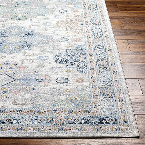 Artistic Weavers Lavadora Machine Washable Vintage Area Rug, 9'3" x 12', Light Blue