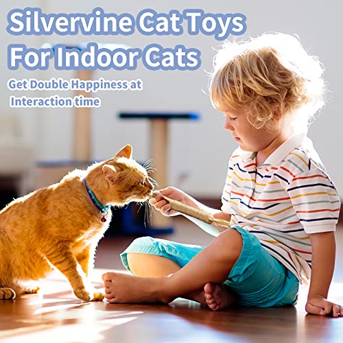 Catnip Toys with Silvervine for Cats - 3 Pack Cat Chew Toys for Aggressive Chewers, Edible Interactive Cat Toys for Indoor Cats Kitten Teething with Natural Silvervine Sticks for Teeth Cleaning