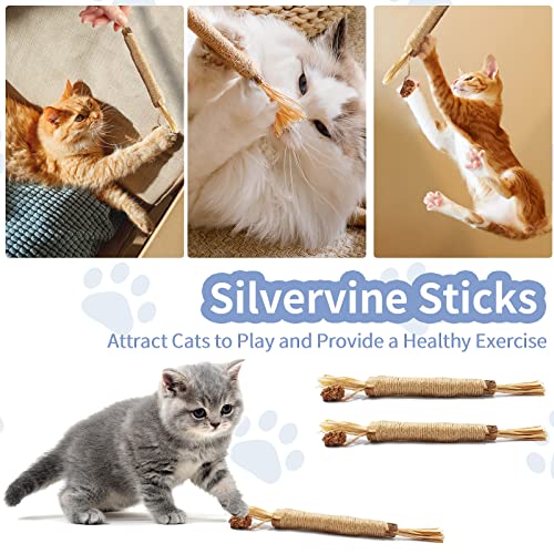 Catnip Toys with Silvervine for Cats - 3 Pack Cat Chew Toys for Aggressive Chewers, Edible Interactive Cat Toys for Indoor Cats Kitten Teething with Natural Silvervine Sticks for Teeth Cleaning