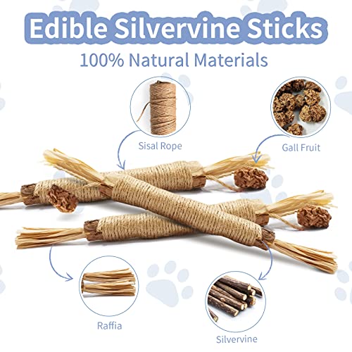 Catnip Toys with Silvervine for Cats - 3 Pack Cat Chew Toys for Aggressive Chewers, Edible Interactive Cat Toys for Indoor Cats Kitten Teething with Natural Silvervine Sticks for Teeth Cleaning