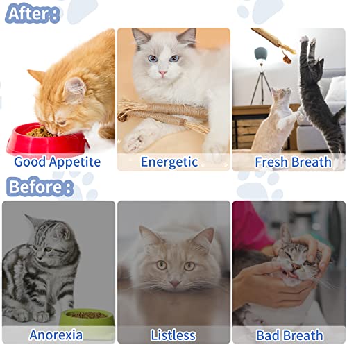 Catnip Toys with Silvervine for Cats - 3 Pack Cat Chew Toys for Aggressive Chewers, Edible Interactive Cat Toys for Indoor Cats Kitten Teething with Natural Silvervine Sticks for Teeth Cleaning