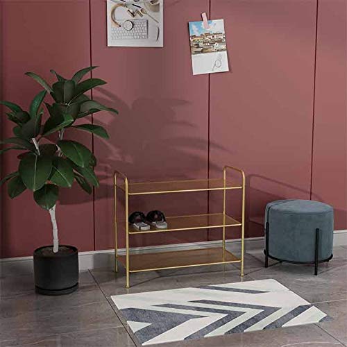 N/A 2/3 Tiers Shoe Rack, Small Shoe Rack Organizer, Space Saving Shoe Shelf, Iron Shoe Rack (Color : D, Size : 2layers)