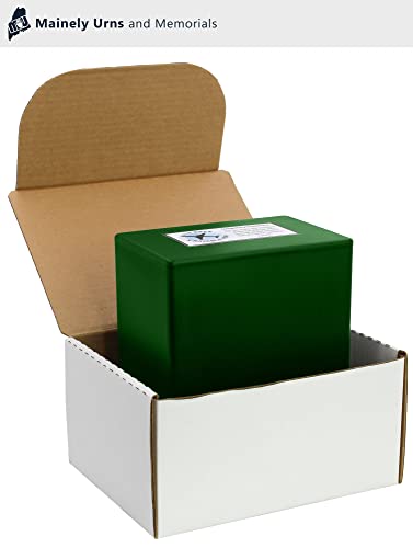 TSA Approved Fly-Safe and Temporary Travel Cremation Urn Kit for Human Ashes - Airline Friendly - 200 Cubic Inch Capacity - Airline-Ready Green Plastic Urn with Included Travel Box