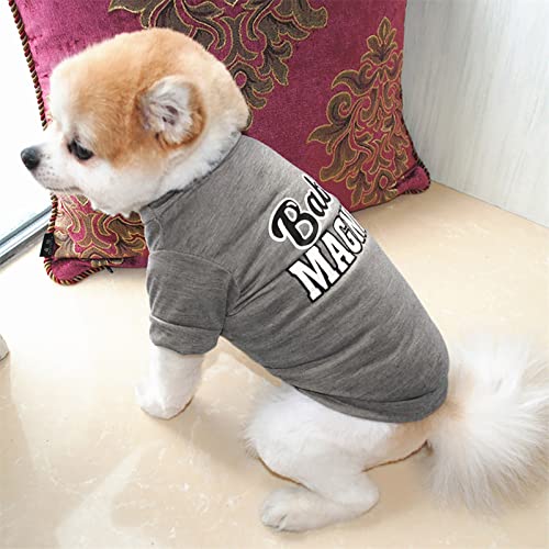 Dog Shirt for Small Dogs Boy Puppy Pet Vest Small Summer Cat Shirt Soft Vest Outfit for Dogs Walking Travel Apparel Pet Clothes