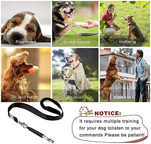 PILONG Dog Whistle, 2023 New 2PCS Ultrasonic Dog Whistle to Stop Barking Neighbors Dog, Professional Adjustable Silent Dog Whistle Training Tools for Dogs with Black Strap Lanyard