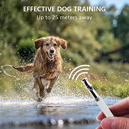 PILONG Dog Whistle, 2023 New 2PCS Ultrasonic Dog Whistle to Stop Barking Neighbors Dog, Professional Adjustable Silent Dog Whistle Training Tools for Dogs with Black Strap Lanyard