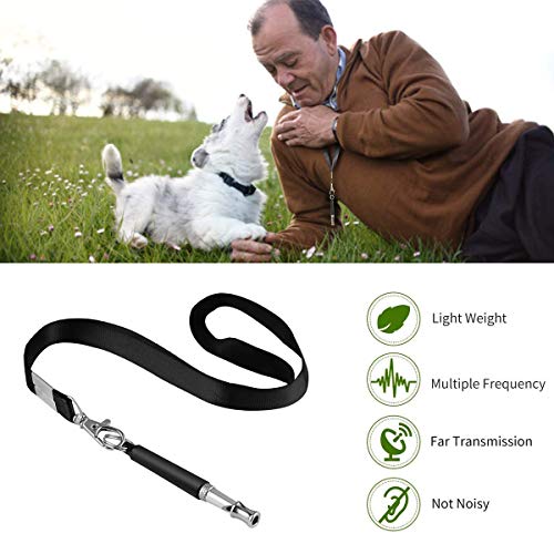 PILONG 2 Pack Dog Whistle, Dog Whistle to Stop Barking Neighbors Dog, Adjustable Ultrasonic Silent Dog Whistle, Professional Recall Dog Training Whistles with Lanyard