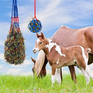 Woiworco 2 Packs Horse Treat Balls and Hay Nets, 5.3 inches Horses Balls Toy and 37.5 inches Long 2 x 2-inch Hay Nets, Slow Feed Hay Feed Hanging Feeding Supplies for Horses and Goats to Play with