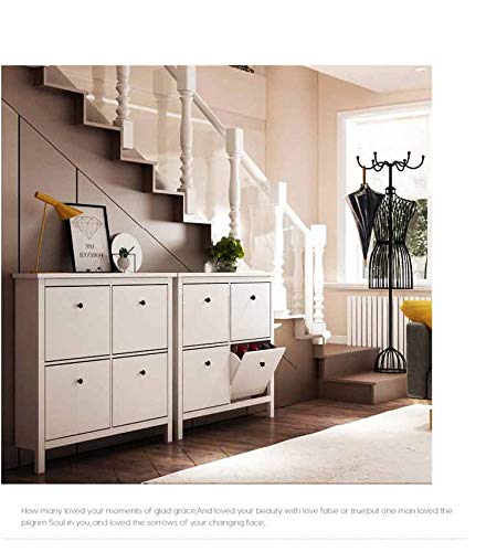 N/A Fashion Home Shoe Cabinet Solid Wood His Doumen Hall Cabinet Simplified Mail Delivery (Color : OneColor)