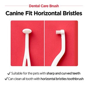 JAYU PET Dental Care Brush - Cat Toothbrush, Toothbrush for Small Dogs, Feline Toothbrush, Cat Dental Treat, Removing Bad Breath, Plaque, Tartar, Cat Teeth Brushing & Easy Cleaning, Soft Bristles