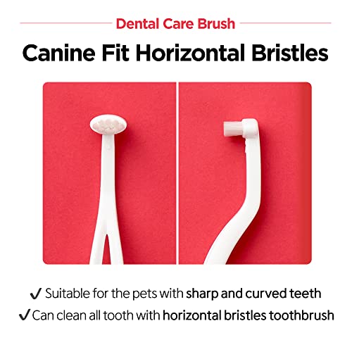 JAYU PET Dental Care Brush - Cat Toothbrush, Toothbrush for Small Dogs, Feline Toothbrush, Cat Dental Treat, Removing Bad Breath, Plaque, Tartar, Cat Teeth Brushing & Easy Cleaning, Soft Bristles