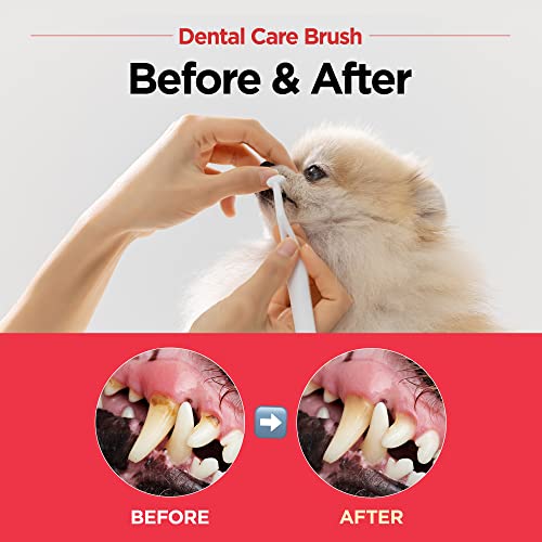 JAYU PET Dental Care Brush - Cat Toothbrush, Toothbrush for Small Dogs, Feline Toothbrush, Cat Dental Treat, Removing Bad Breath, Plaque, Tartar, Cat Teeth Brushing & Easy Cleaning, Soft Bristles