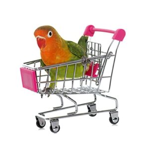 Dft Bird Toys, 6 Kinds Bird Training Toys Set Include Stacking Rings Skateboard Metal Trolley Coin Jar Bell Ball Toy to Improve IQ