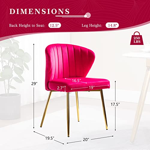 HULALA HOME Velvet Dining Chair, Cute Armless Accent Chair Living Room Chair with Golden Legs, Mid Century Modern Upholstered Side Chair for Kitchen Vanity, Fuchsia