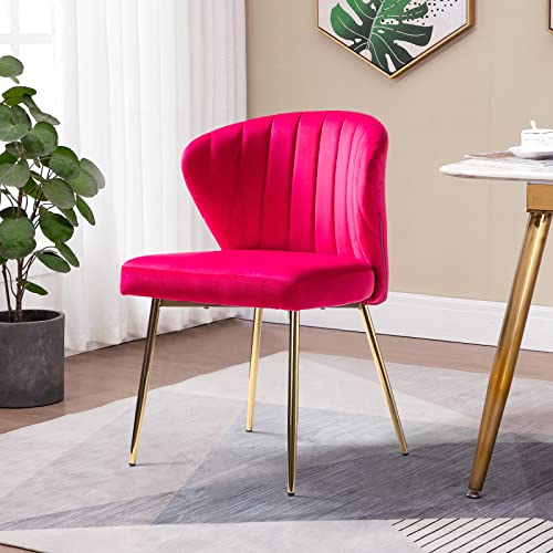 HULALA HOME Velvet Dining Chair, Cute Armless Accent Chair Living Room Chair with Golden Legs, Mid Century Modern Upholstered Side Chair for Kitchen Vanity, Fuchsia