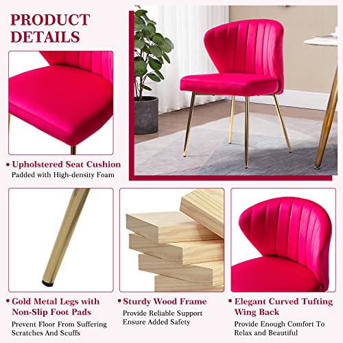 HULALA HOME Velvet Dining Chair, Cute Armless Accent Chair Living Room Chair with Golden Legs, Mid Century Modern Upholstered Side Chair for Kitchen Vanity, Fuchsia