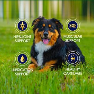 YUMA'S Hemp Calming Chews for Dogs with Anxiety and Stress (135 Chews)