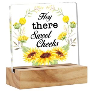 bathroom desk decor acrylic desk signhumor hey there sweet cheeks acrylic plaque home restroom desk shelf decoration 4.7"x4.7"