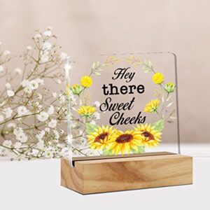 Bathroom Desk Decor Acrylic Desk SignHumor Hey There Sweet Cheeks Acrylic Plaque Home Restroom Desk Shelf Decoration 4.7"x4.7"