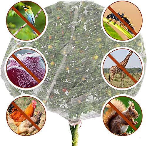 6.9' x 8.5' Large Fruit Tree Netting, Ultra Fine Mesh Garden Insect Tree Cover with Drawstring Transparent Bird Plant Barrier Flower Fruit Mesh Screen for Preventing Deer Squirrel Bug