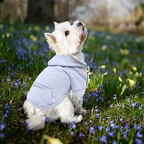 Puppy Clothes for Extra Small Dogs Female Pet Autumn and Winter Pocket Sweatshirt Gray Dogs Hoodies Cute Zipper Warm Pet Clothes