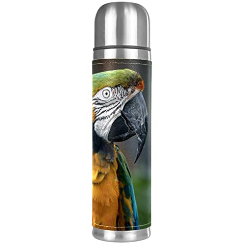 Animal Parrot Vacuum Insulated Water Bottle Stainless Steel Thermos Flask Travel Mug Coffee Cup Double Walled 17 OZ