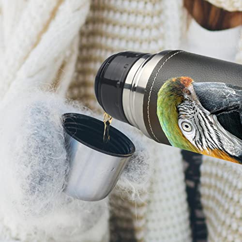 Animal Parrot Vacuum Insulated Water Bottle Stainless Steel Thermos Flask Travel Mug Coffee Cup Double Walled 17 OZ