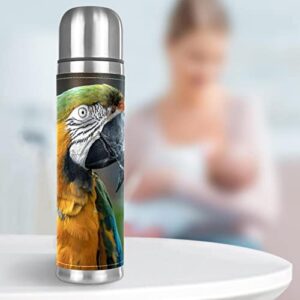 Animal Parrot Vacuum Insulated Water Bottle Stainless Steel Thermos Flask Travel Mug Coffee Cup Double Walled 17 OZ