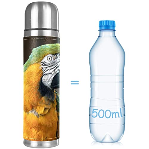 Animal Parrot Vacuum Insulated Water Bottle Stainless Steel Thermos Flask Travel Mug Coffee Cup Double Walled 17 OZ