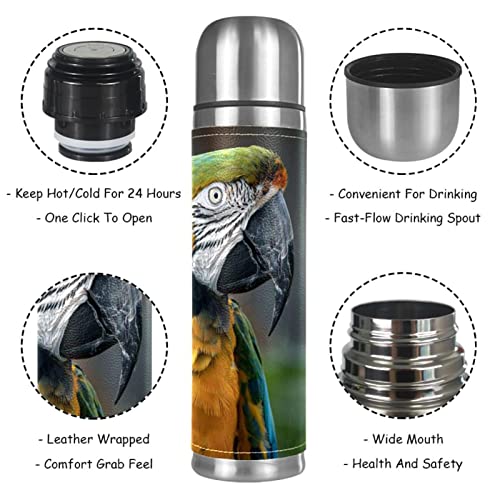 Animal Parrot Vacuum Insulated Water Bottle Stainless Steel Thermos Flask Travel Mug Coffee Cup Double Walled 17 OZ